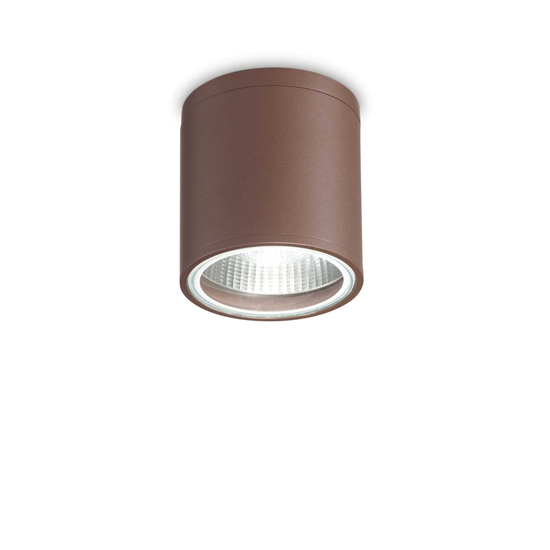 GUN: Interior Aluminium Ceiling Light (Available in Varnished Aluminiu ...