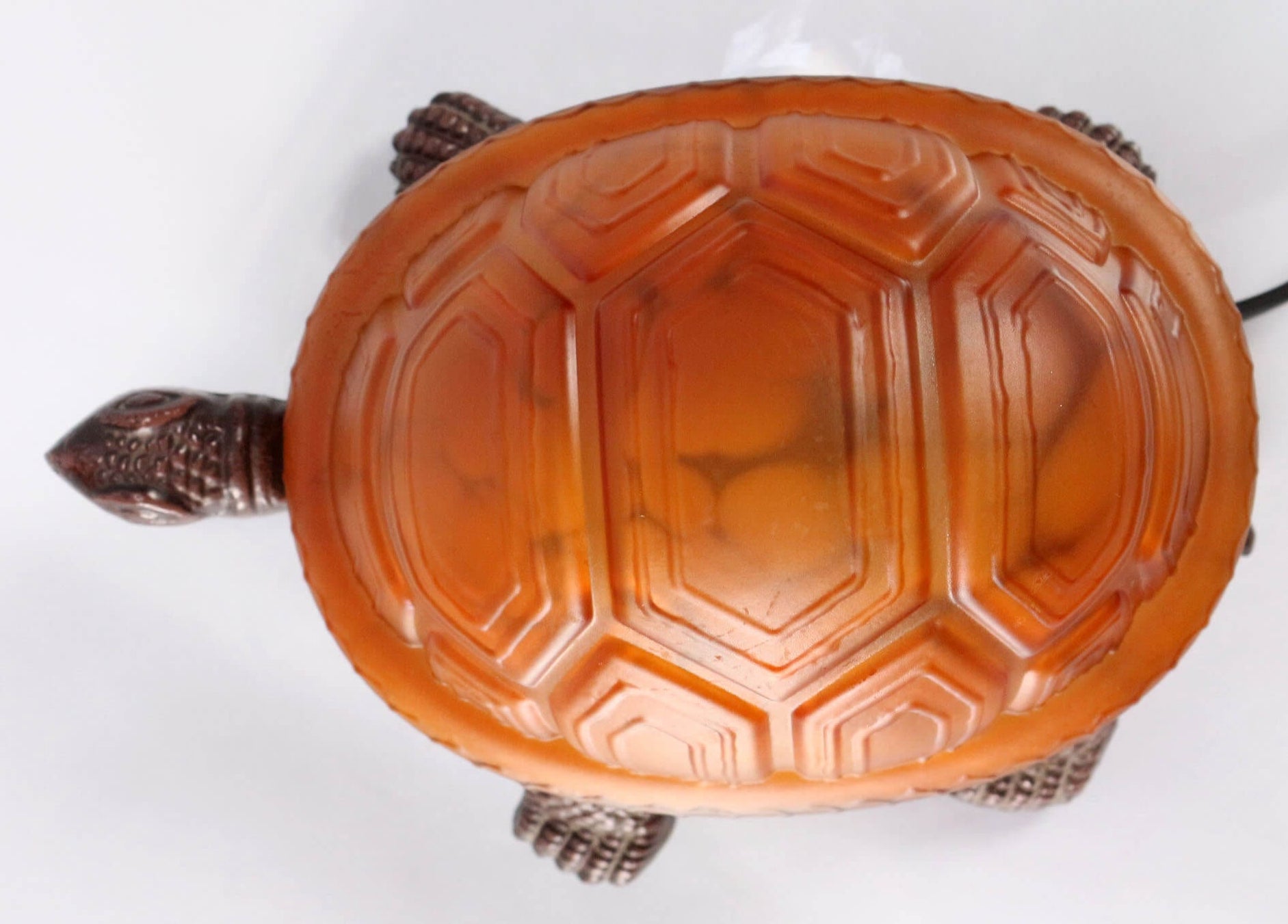 AMBER: Turtle Table Lamp — Discount Lighting